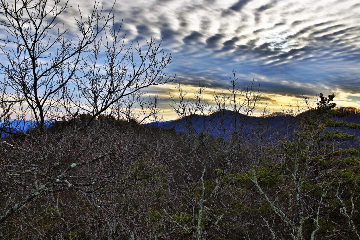 Home - Elite Building Group