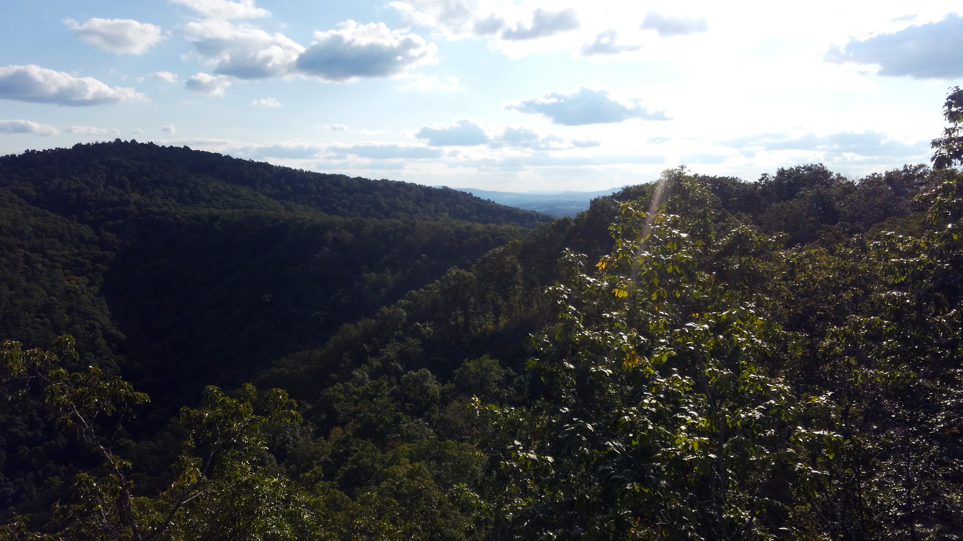 RFP | Elite Building Group