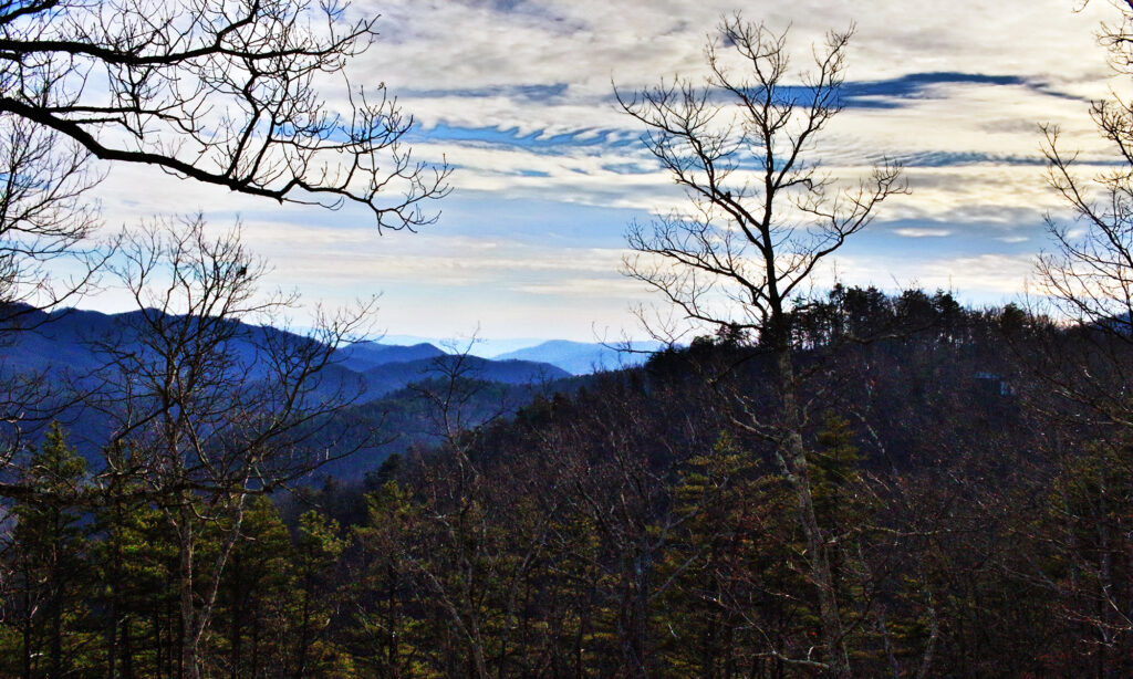 Contact - Elite Building Group